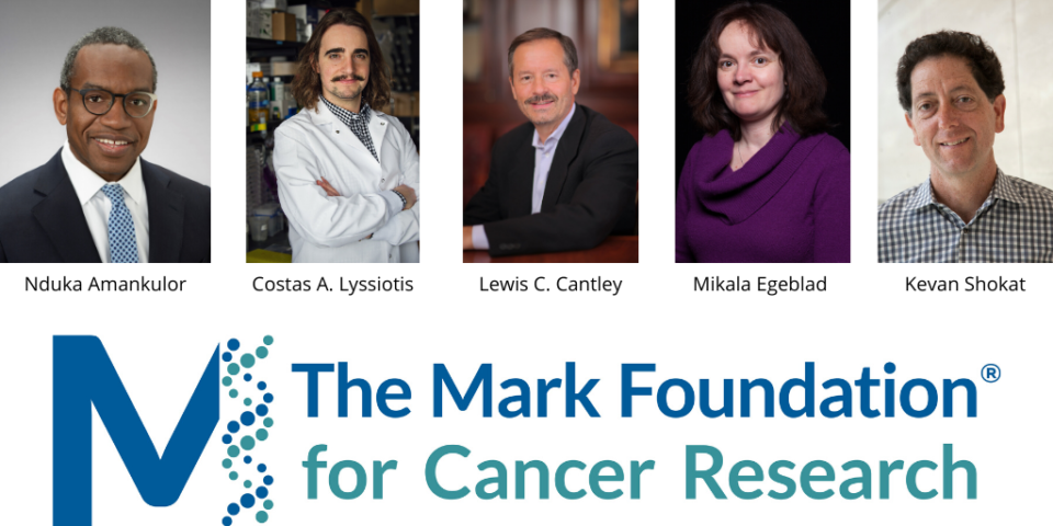 Four Projects Funded That Will Pave the Way For Novel Anti-Cancer ...