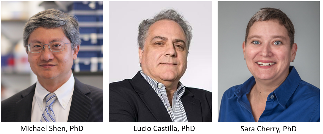Spotlight: 2021 End of Year Honors for The Mark Foundation Researchers ...
