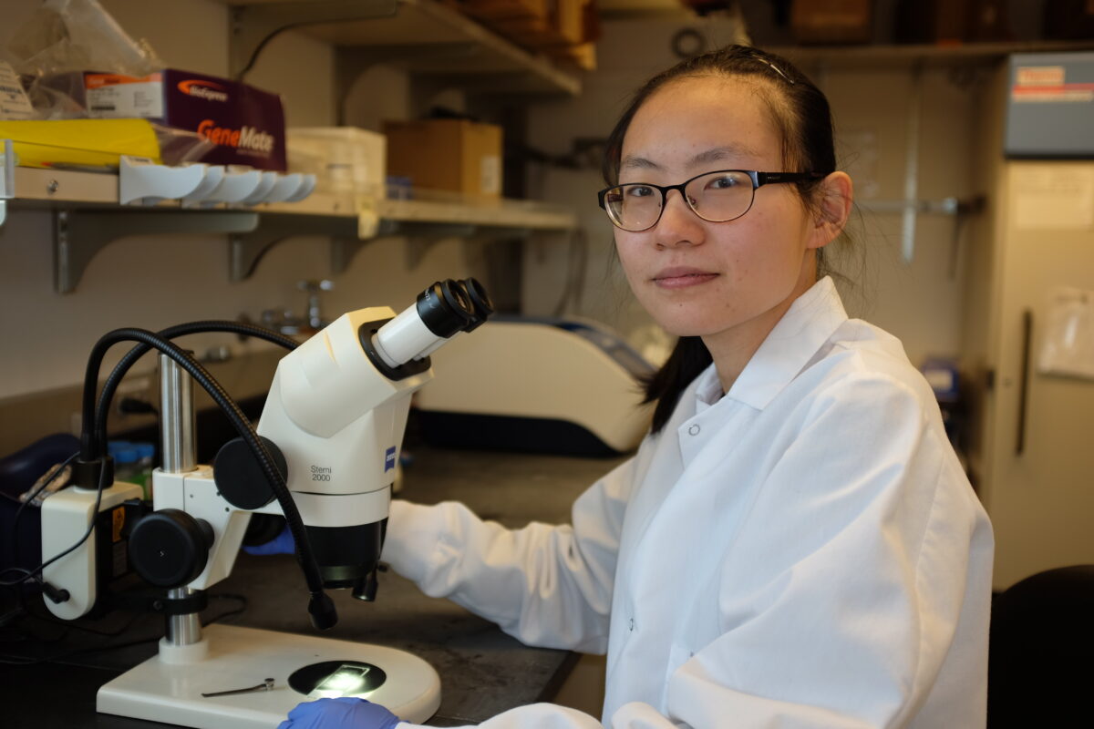 Fellowships | The Mark Foundation for Cancer Research