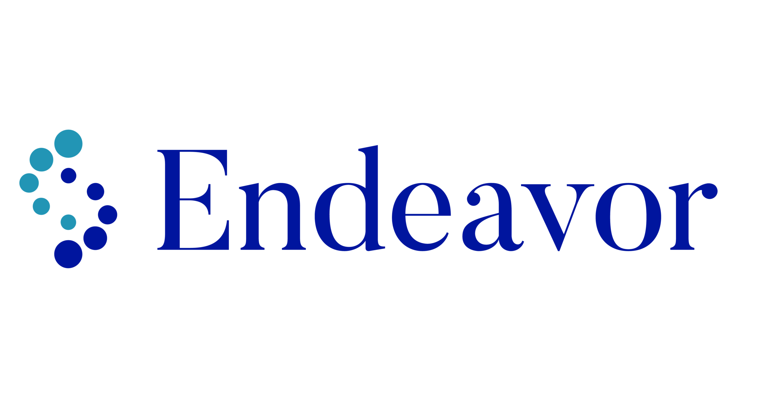 Endeavor Logo Meet Endeavor®, Rheem's Regulation Ready Product Line