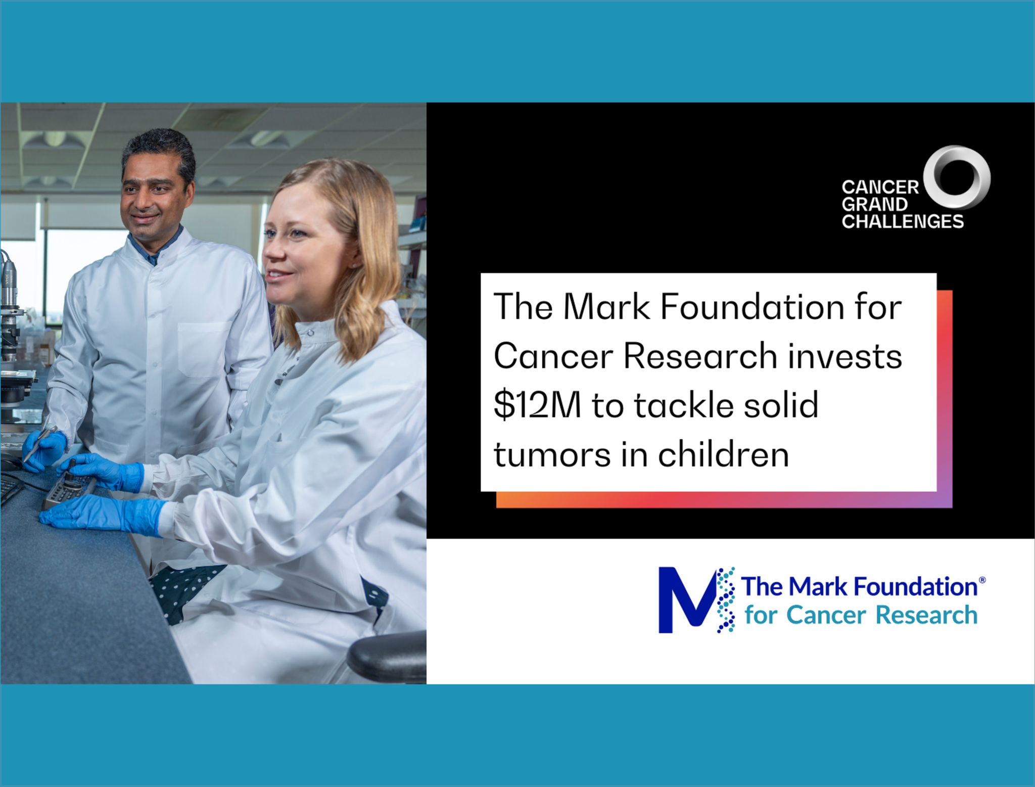 The Mark Foundation for Cancer Research Awards ~$12 million to Cancer ...