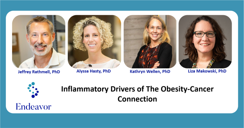 Inflammatory Drivers of The Obesity-Cancer Connection | The Mark ...