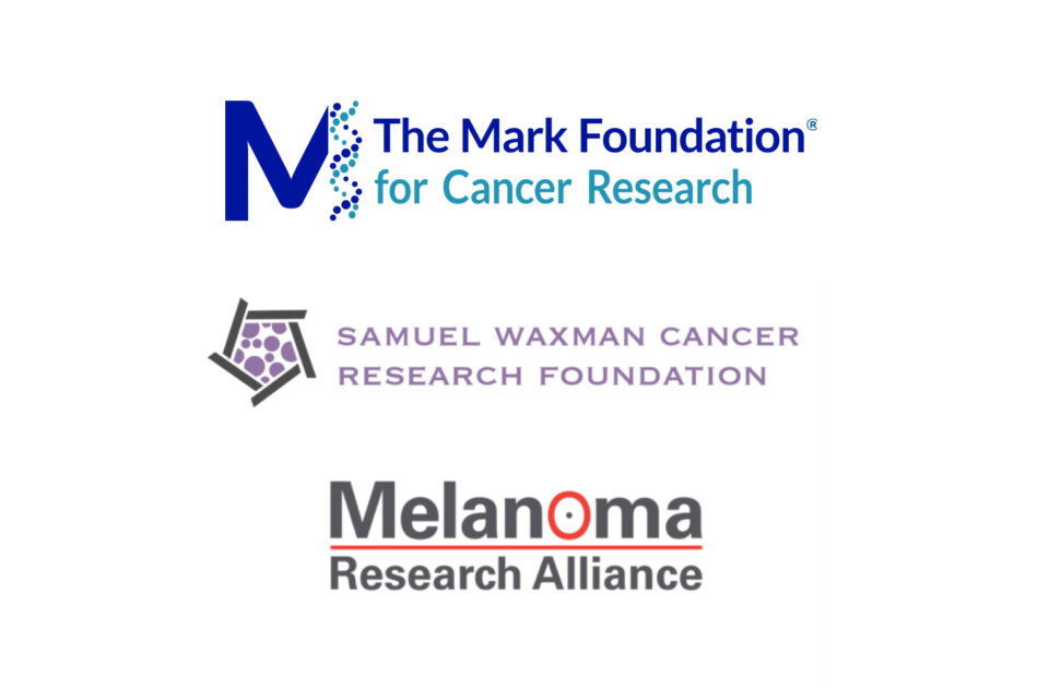 Grantees Selected for The Mark Foundation for Cancer Research and the ...