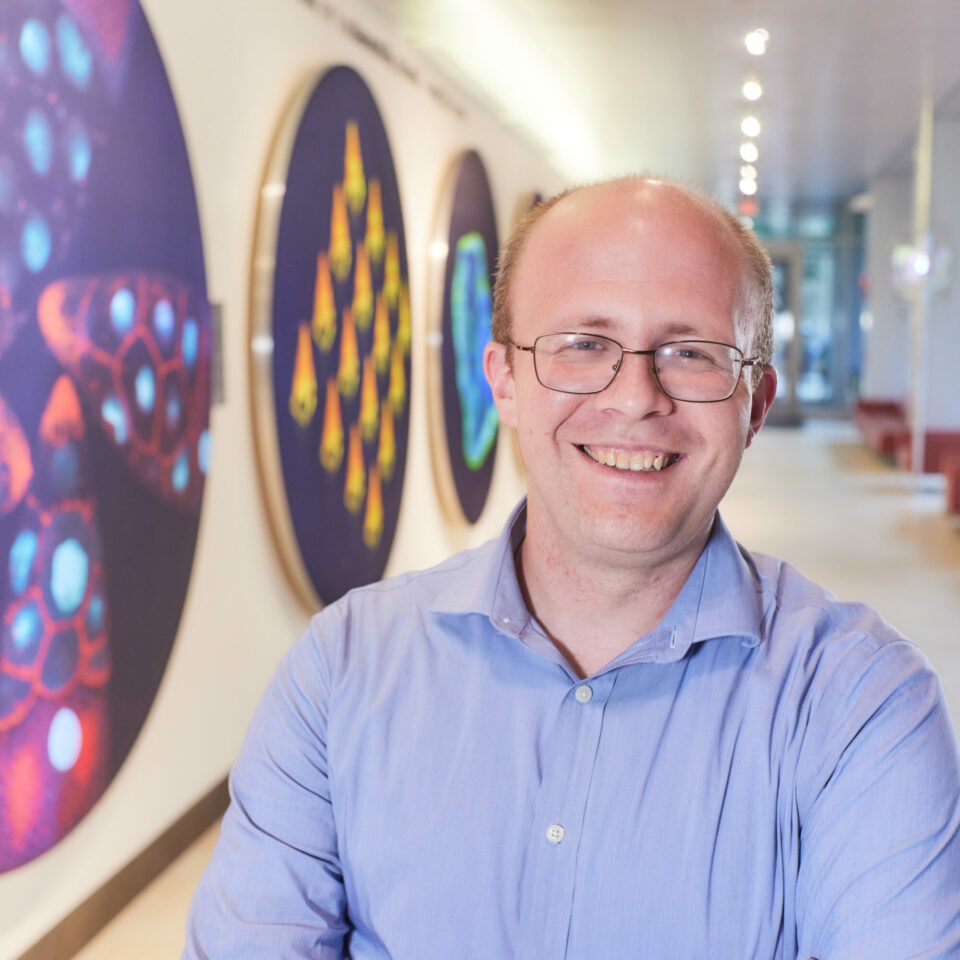 Partnerships | The Mark Foundation for Cancer Research